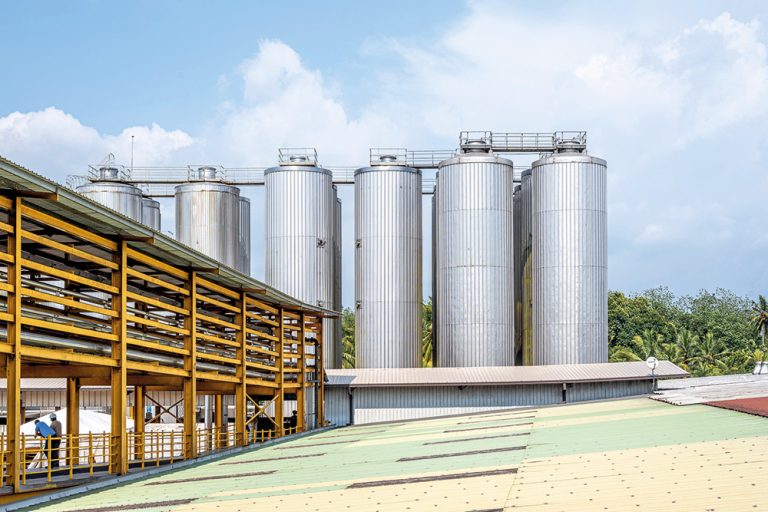 LION BREWERY (CEYLON) - LMD