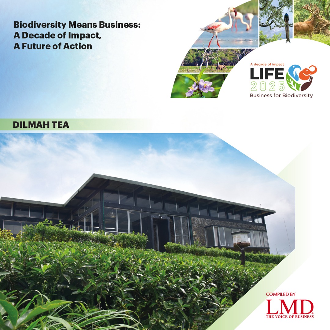 DILMAH TEA - LMD