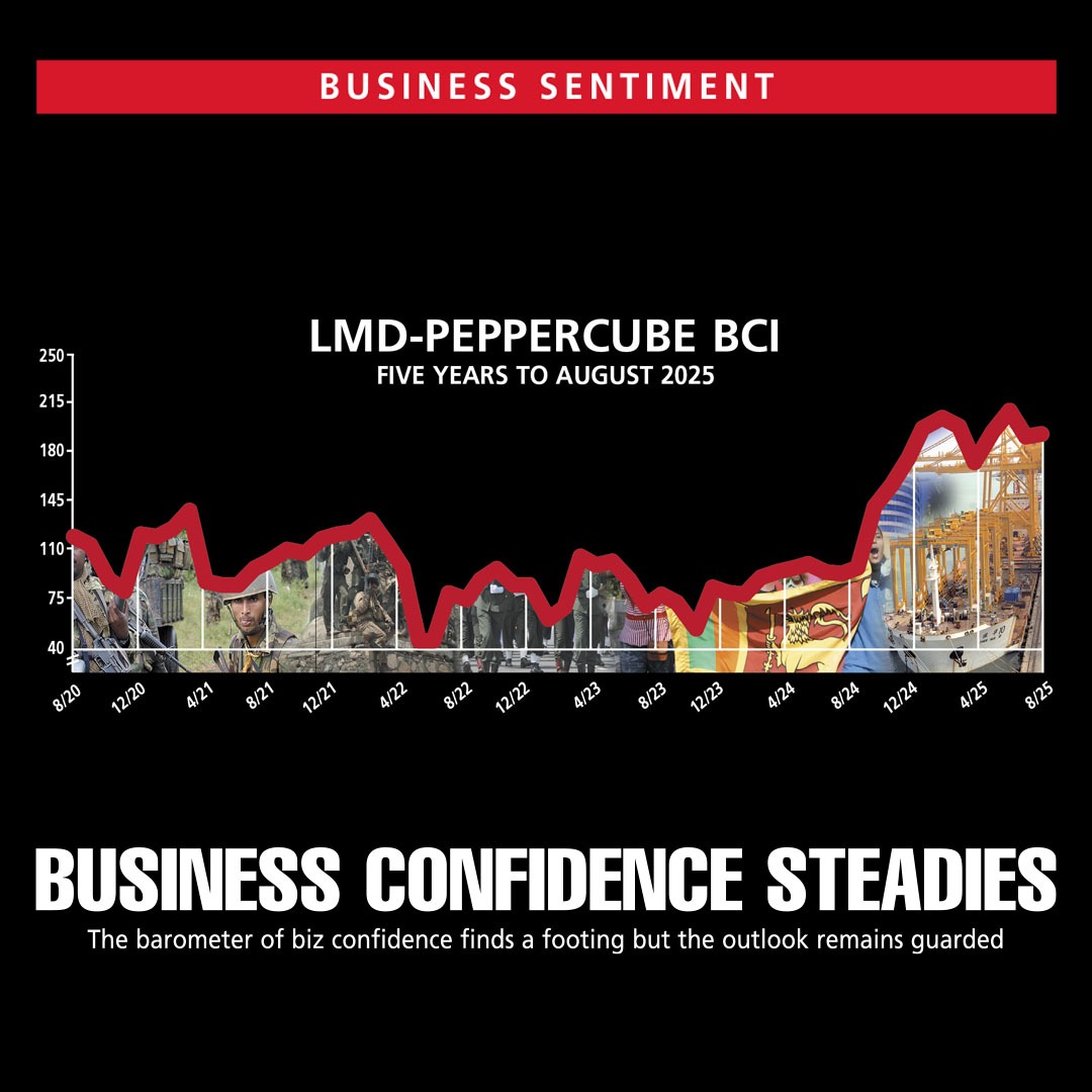 BUSINESS SENTIMENT - LMD