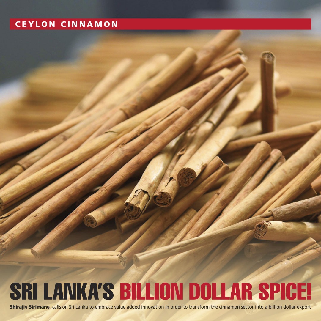 CEYLON CINNAMON - LMD