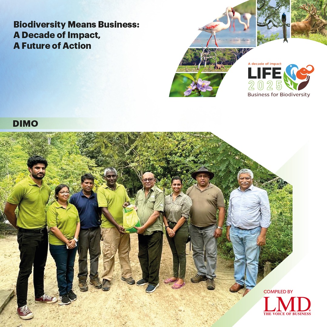 DIMO - LMD