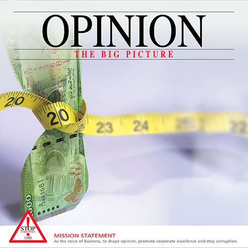 THE BIG PICTURE - LMD