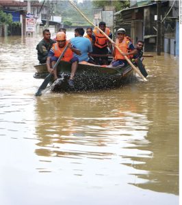 THE BIG PICTURE - LMD