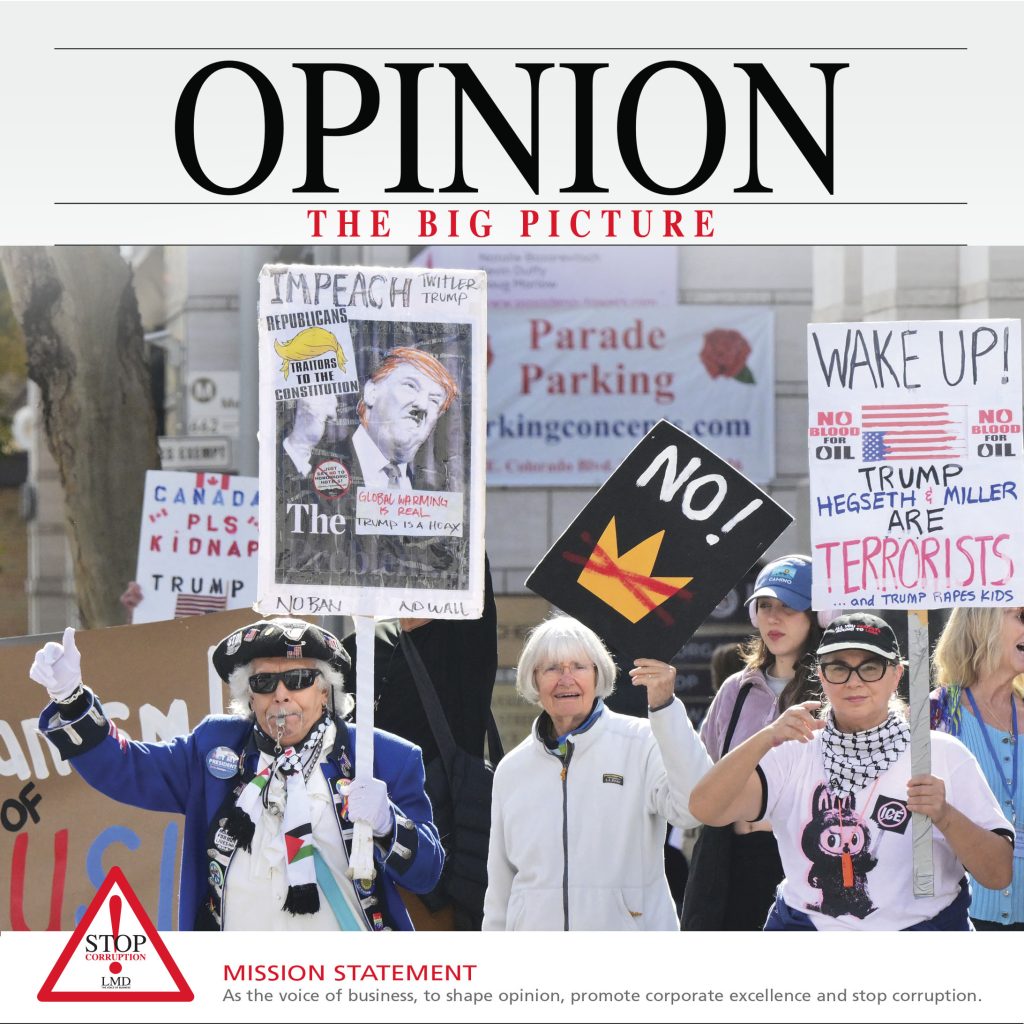 THE BIG PICTURE - LMD