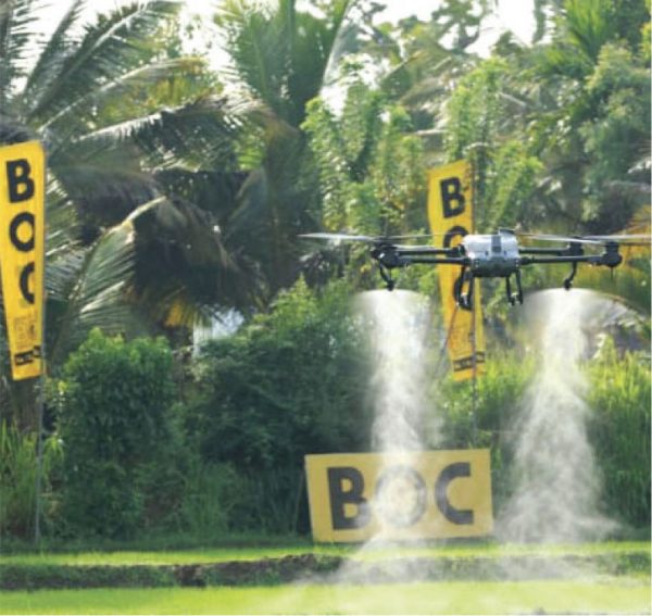 BOC - LMD